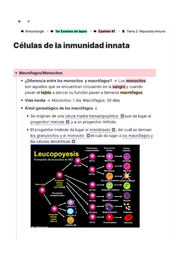 Tema 2 - Repuesta Inmune Innata (Parte 2) RESUMEN Arreglado | PDF
