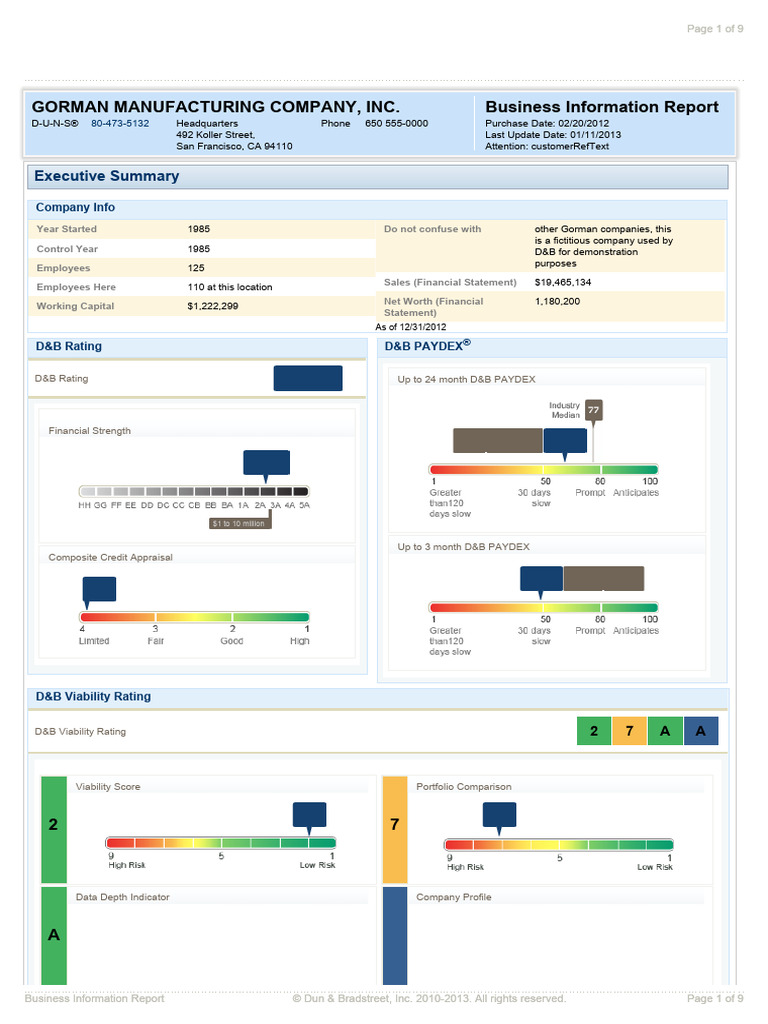 Business Information Report | PDF