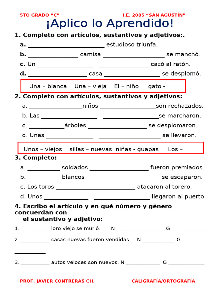 Concordancia Sustantivo Adjetivo | PDF
