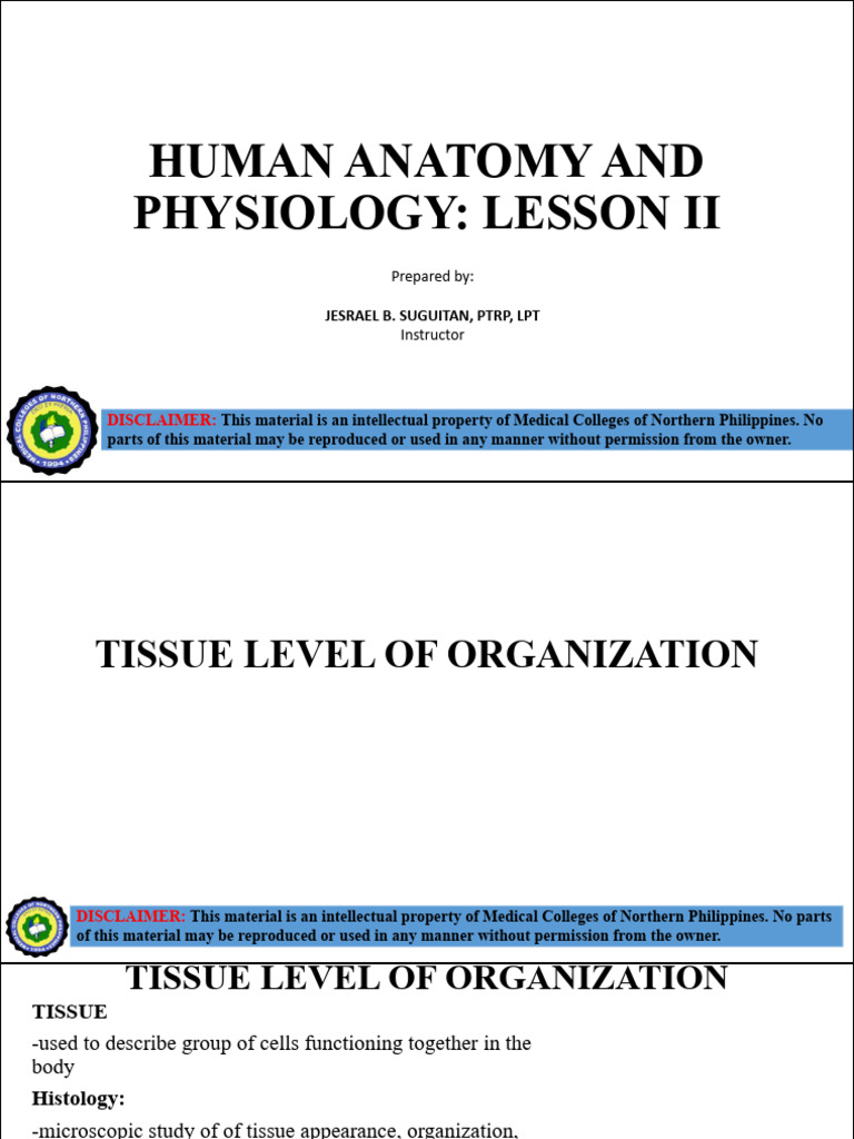 Anaphy BSRT 24 25 Lesson II | PDF