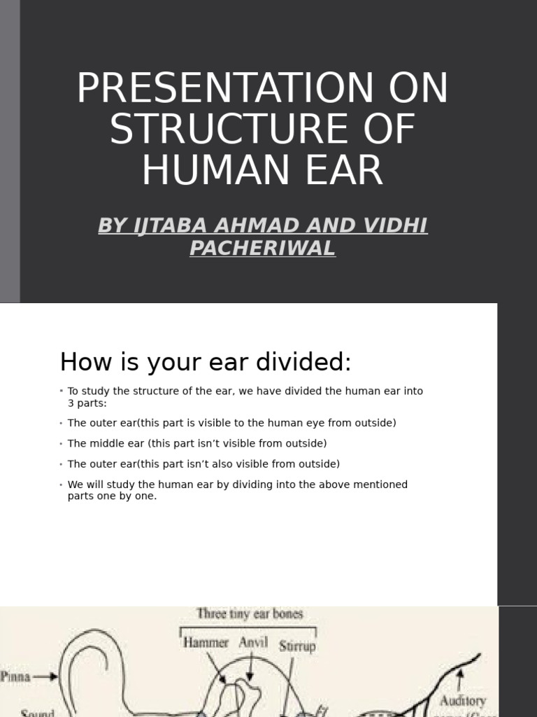 Structure of Human Ear | PDF