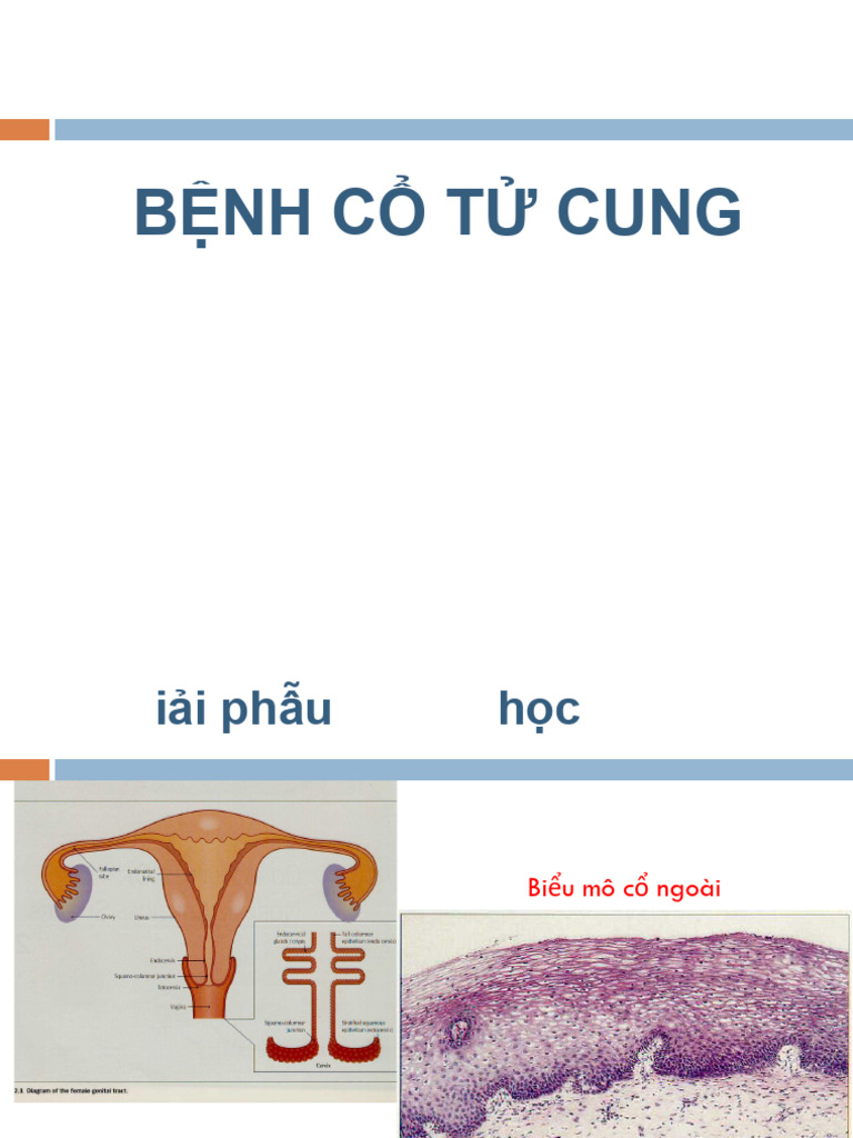 Benh CTC | PDF