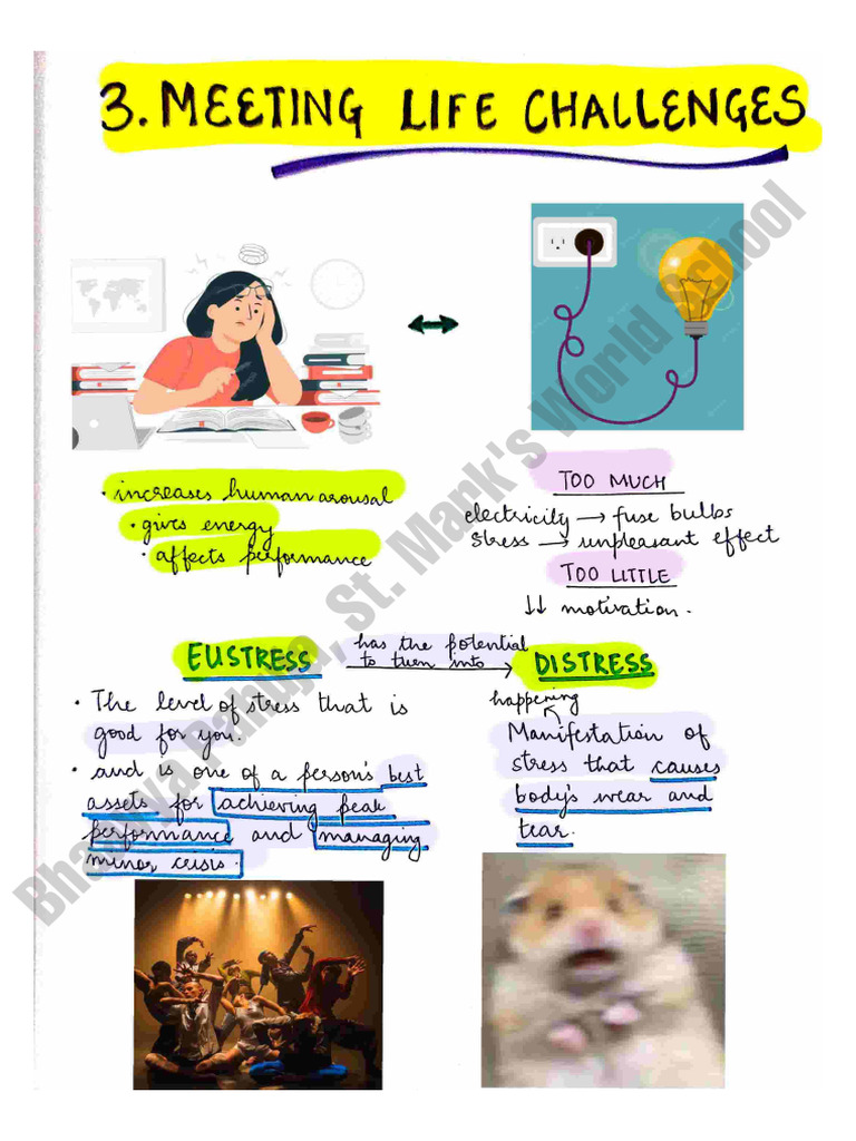 Xii Chapter 3 Meeting Life Challenges (Half) | PDF