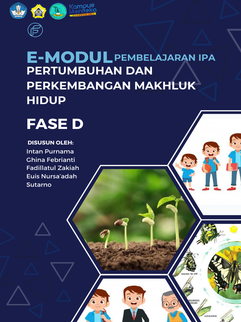 E Modul | PDF