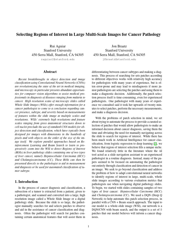Selecting Regions of Interest in Large Multi-Scale Images For Cancer Pathology | PDF | Pathology ...