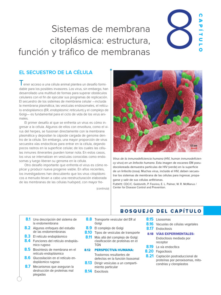 Membranas Plasmáticas | PDF