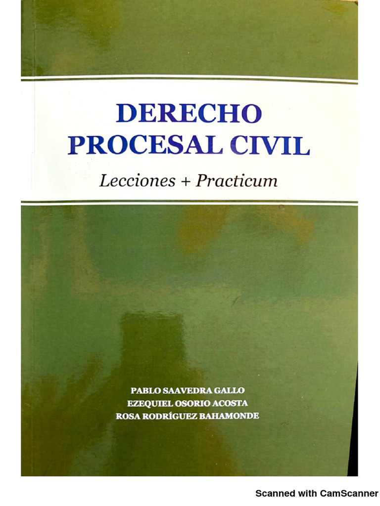 Libro Derecho Procesal Civil | PDF