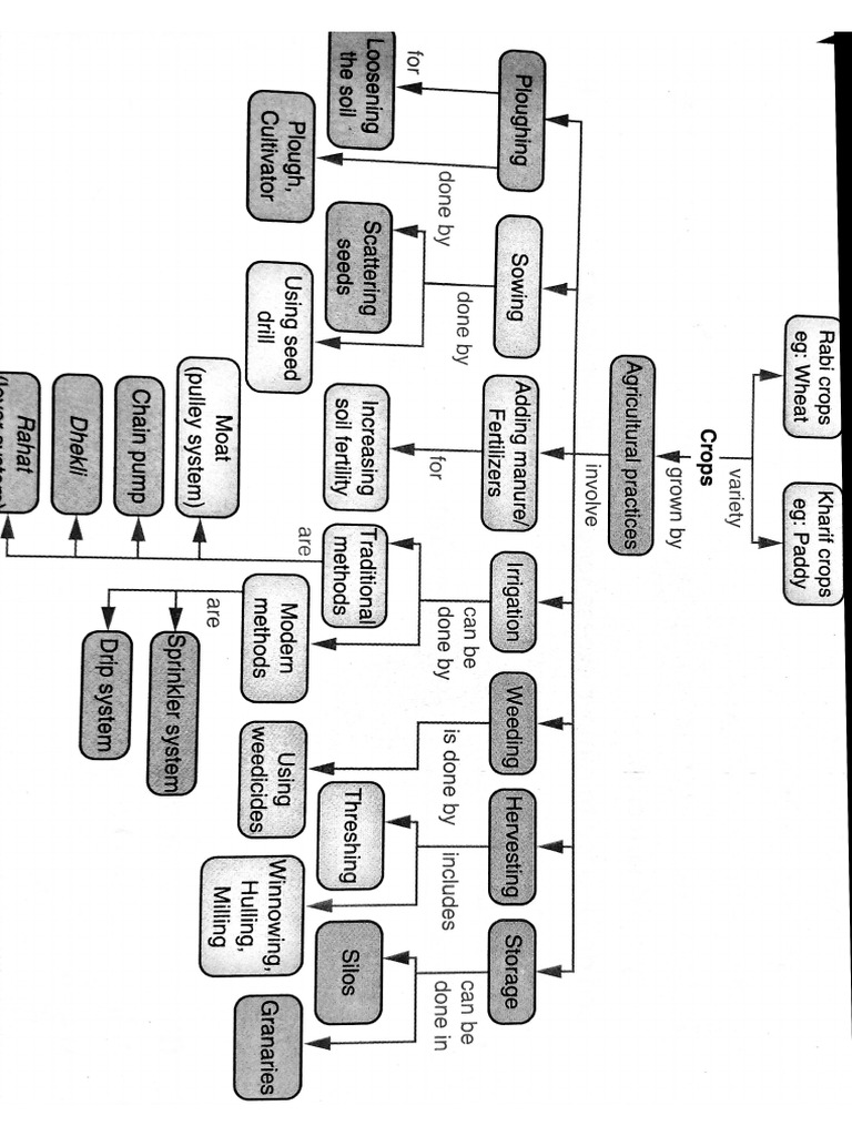 Mind Map Crop Production | PDF
