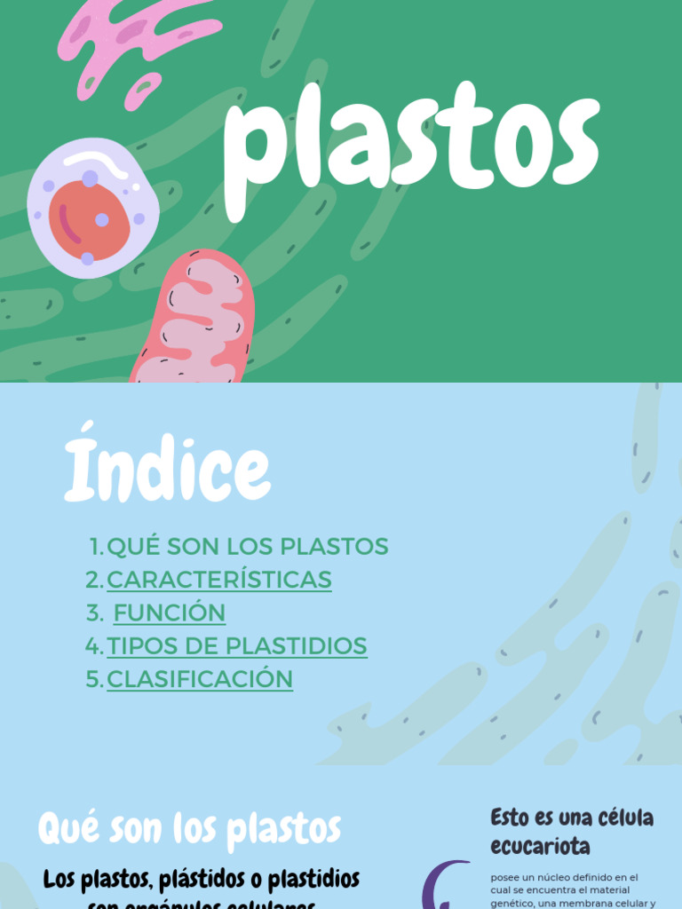 Plastos o Plastidios Biología | PDF