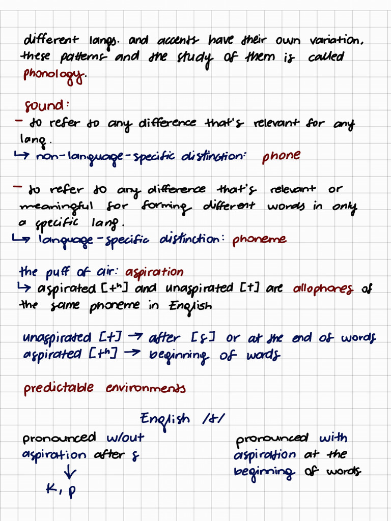 #10 Phonology - 240131 - 212306 | PDF