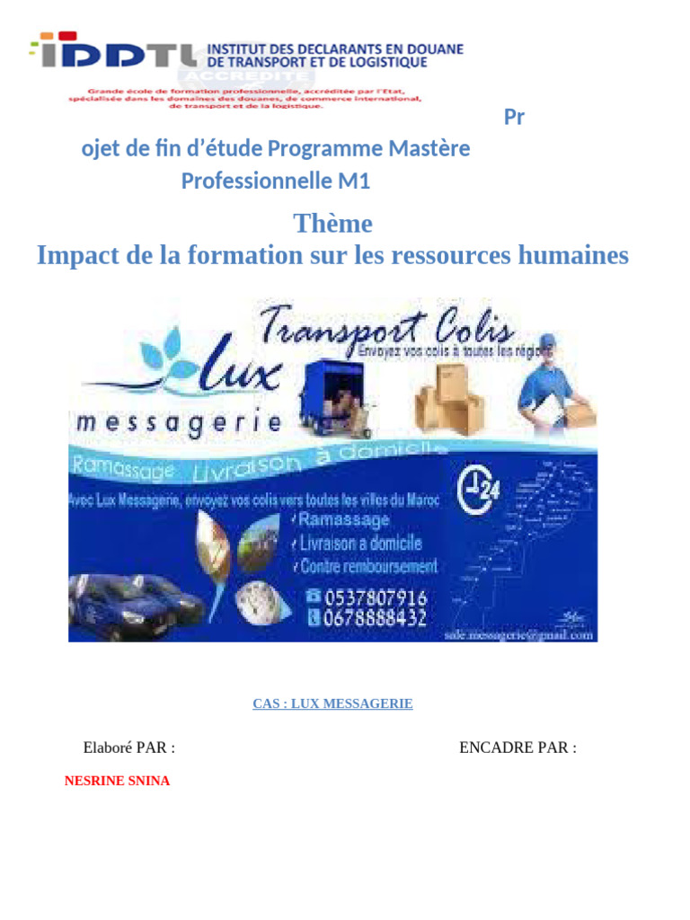 Memoire Nisrine | PDF