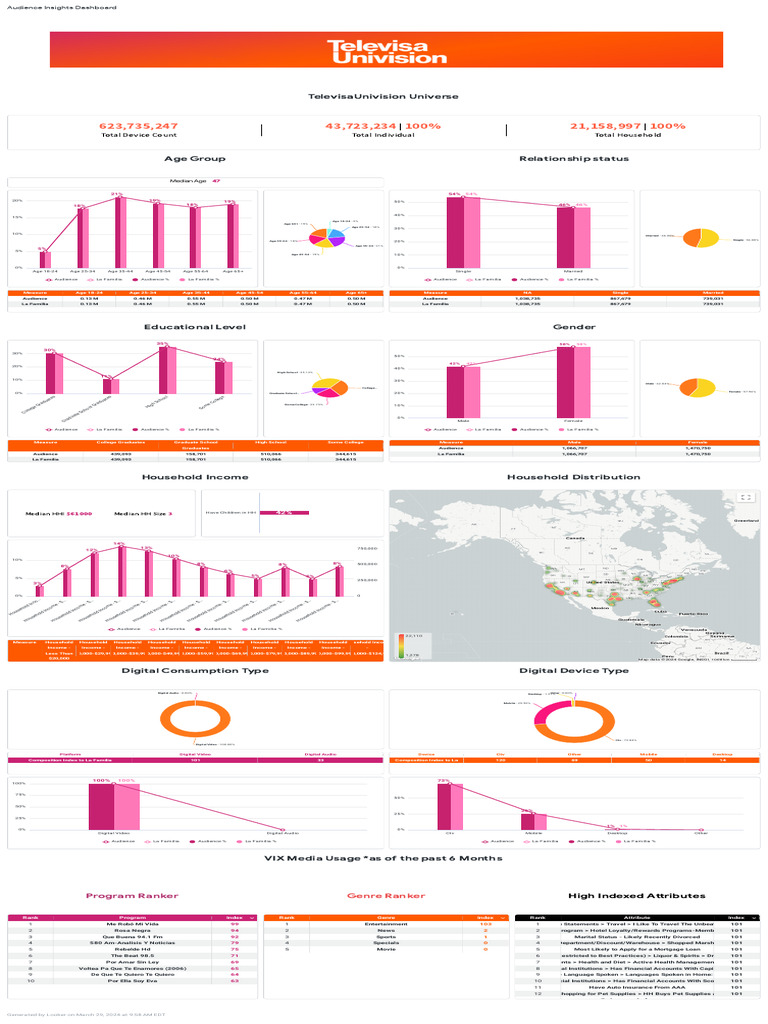 Audience Insights Dashboard 2024-03-29T1558 | PDF