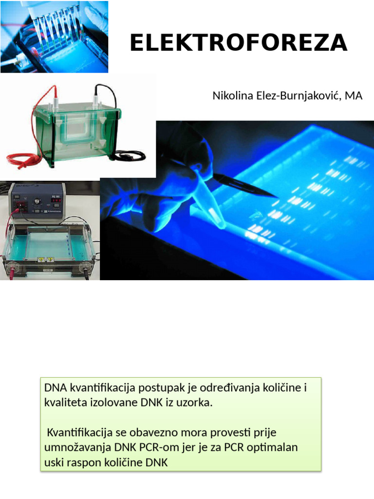 Elektroforeza | PDF