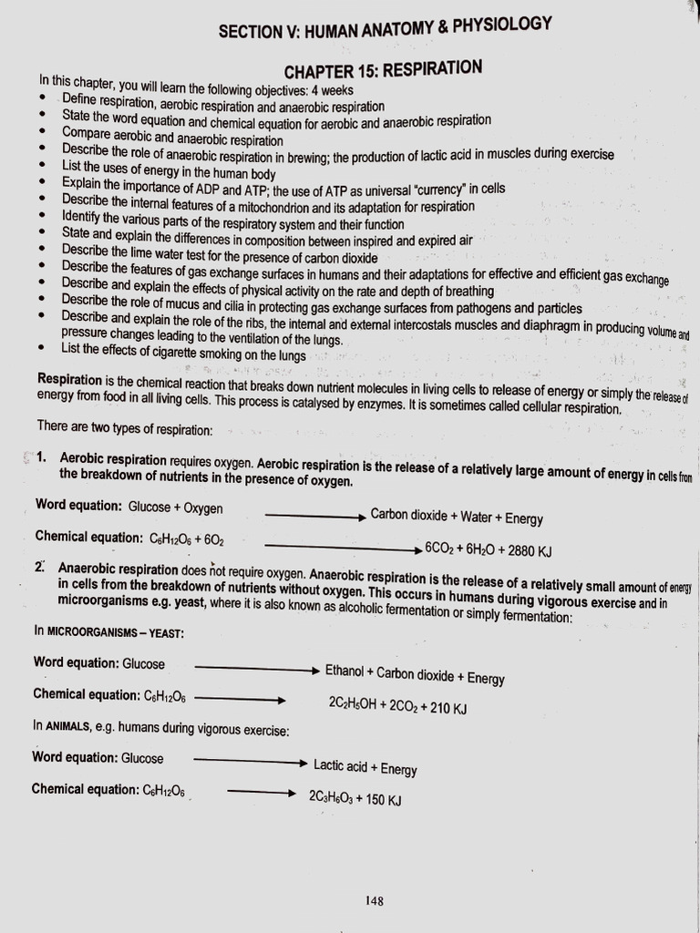 Biology Manual - Respiratory System | PDF