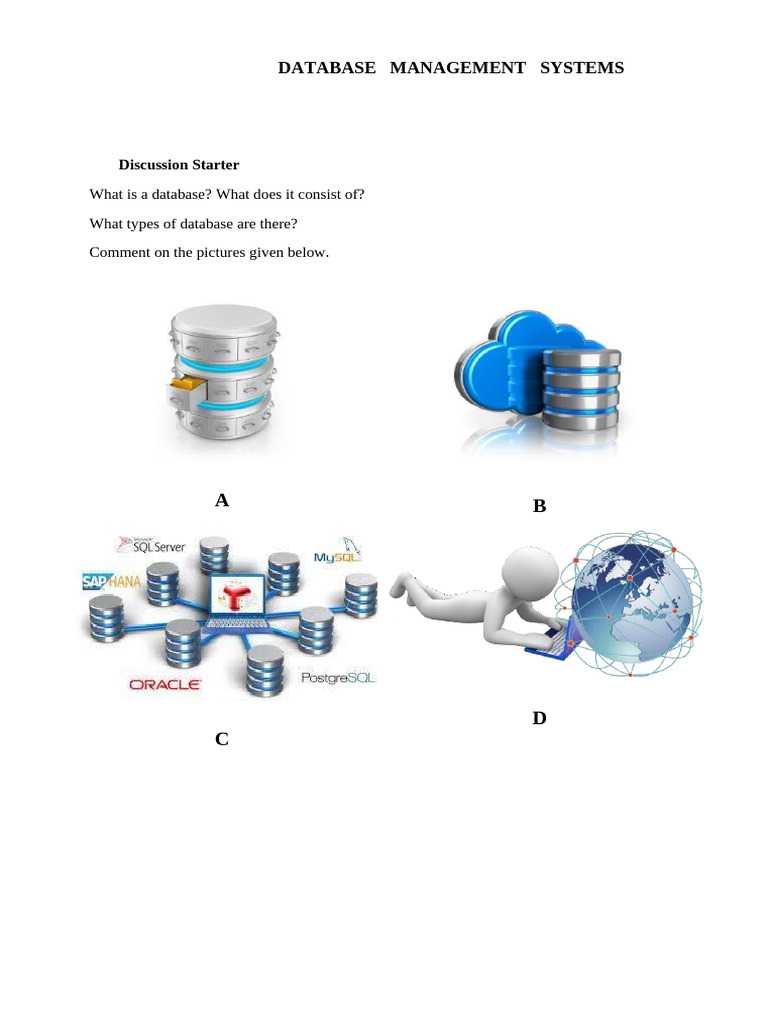 Database Management System | PDF
