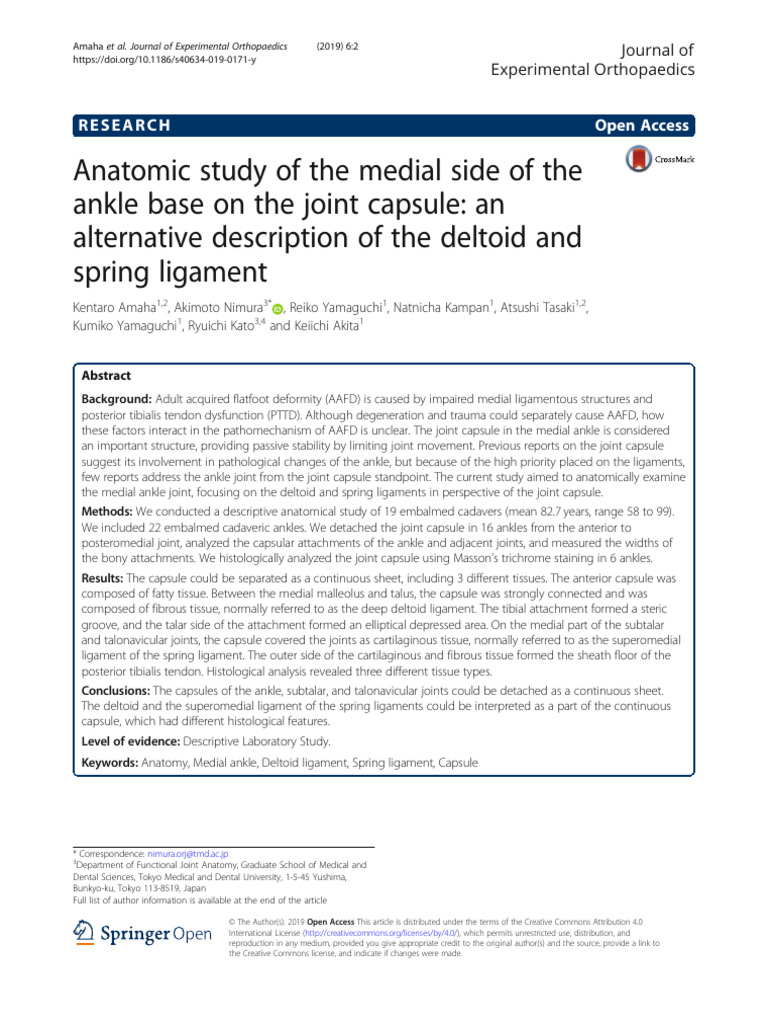ART Anatomia Spring Ligament | PDF