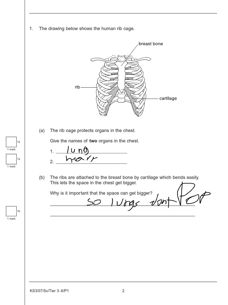 Year 7 Additional Revision Complete | PDF