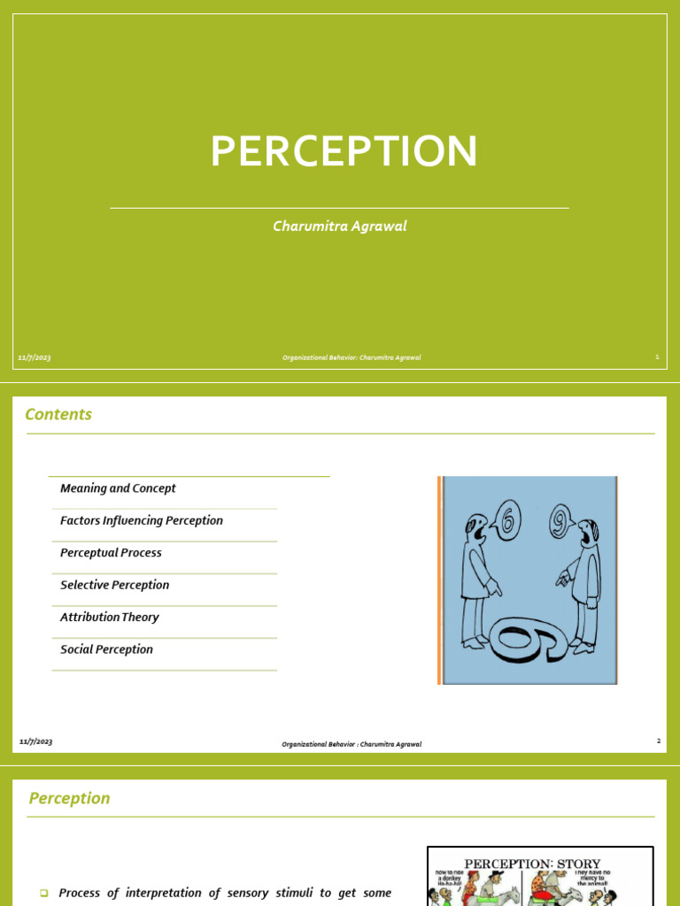 Unit 2 Perception | PDF