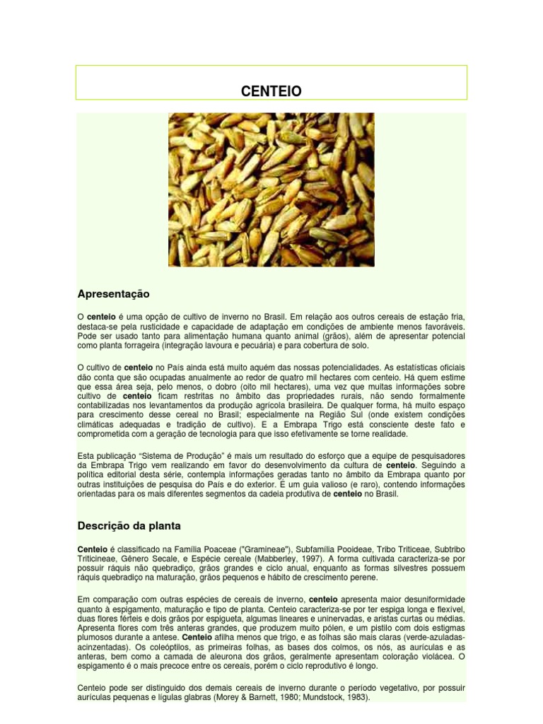 centeio | Centeio | Cereais