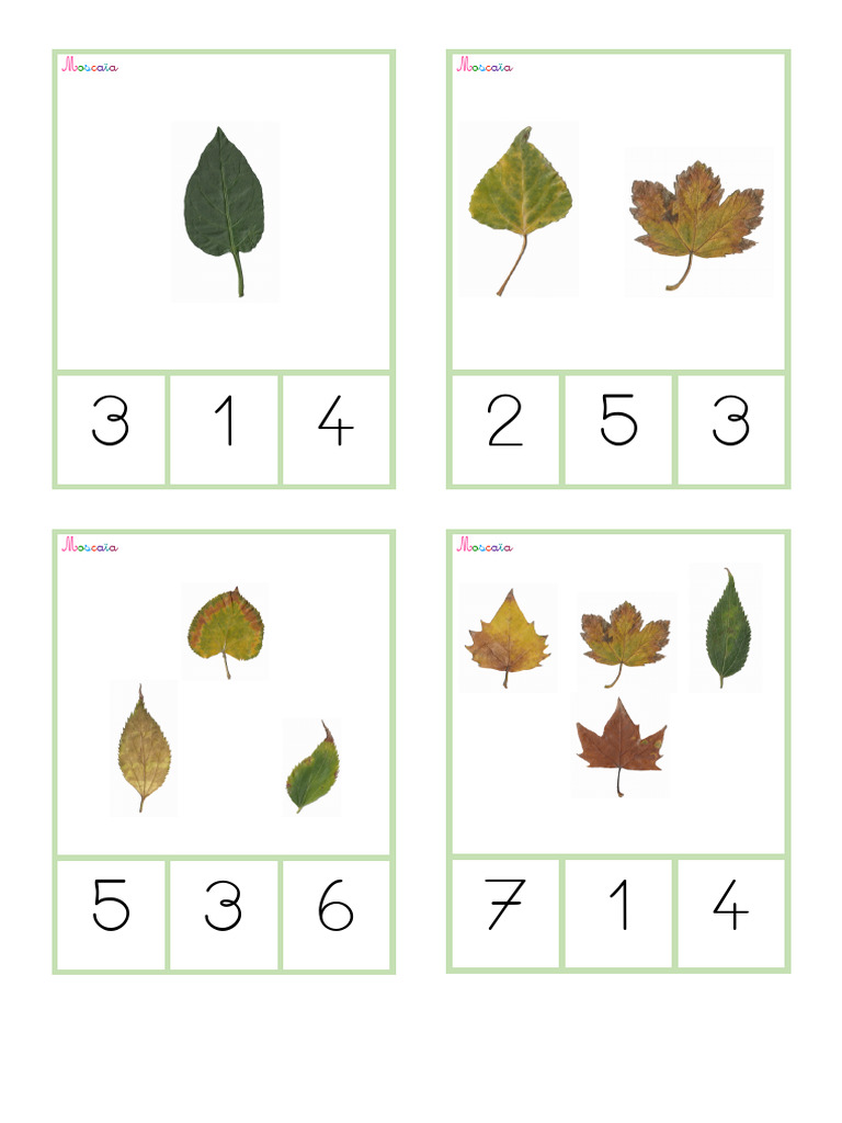 Cartes A Pince 1 A 10 Feuilles Automne | PDF