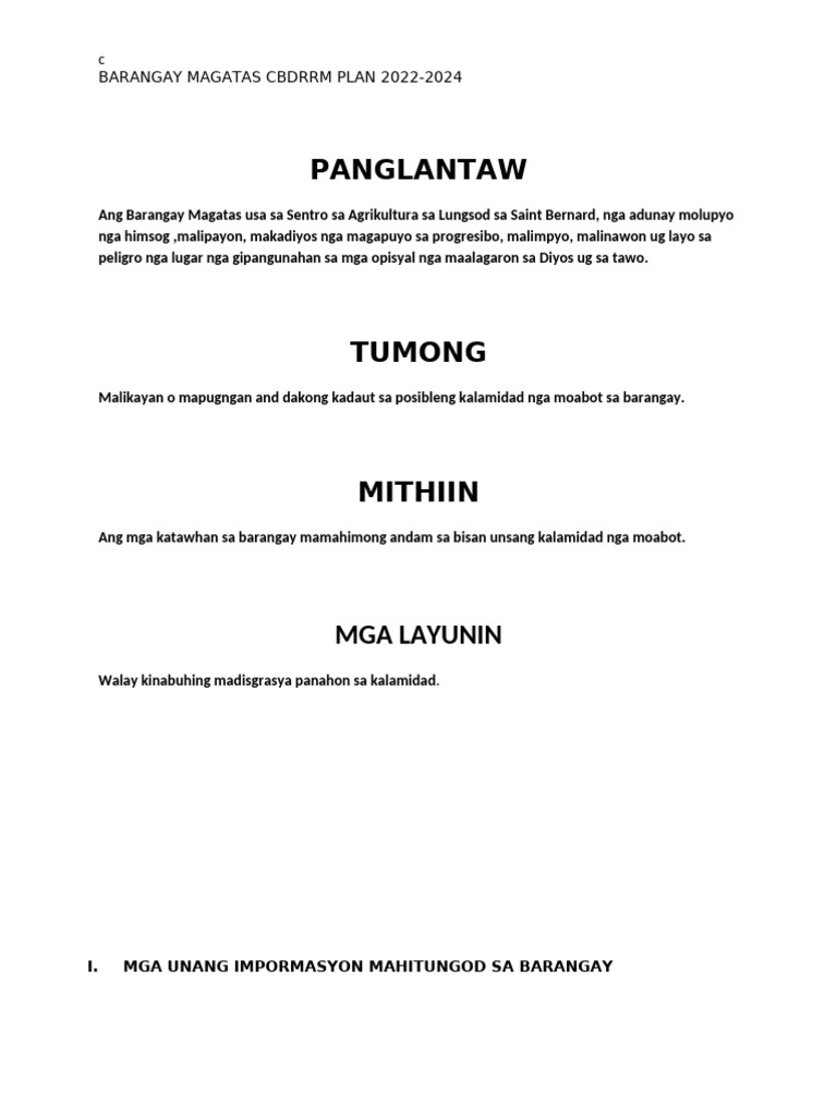 CBDRRM PLAN 2022-2024 FINAL | PDF