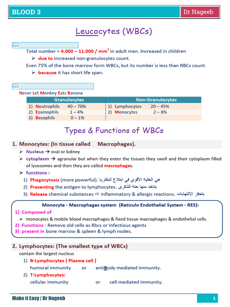 wbcs nageeb | PDF