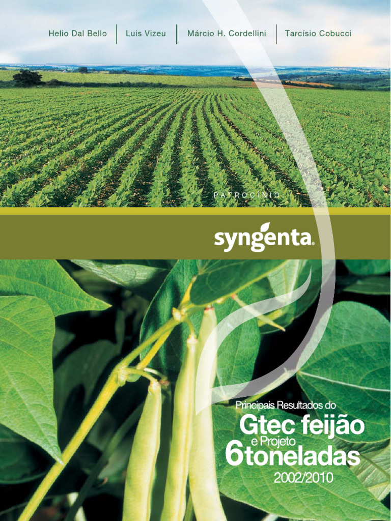 GTEC Feijao e Projeto 6 Toneladas | PDF
