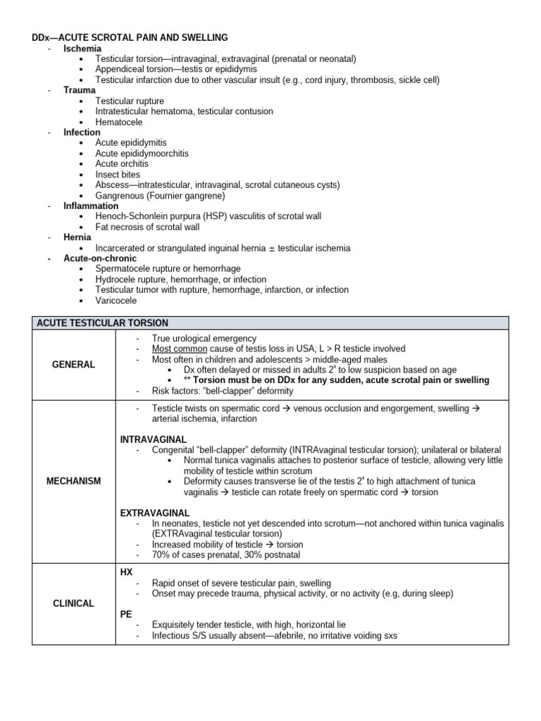 Acute Scrotal Conditions | PDF