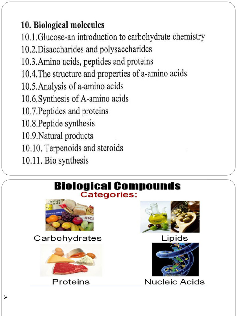 Unit 10 Biomolecules 2017MED | PDF