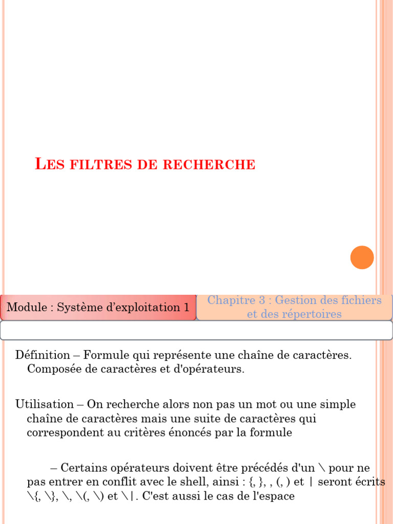 Les Filtres de Recherche | PDF