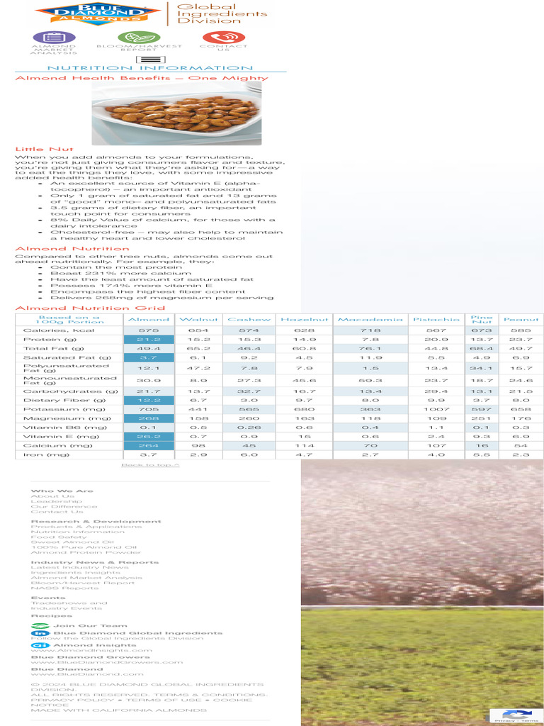 Nutrition Information | PDF