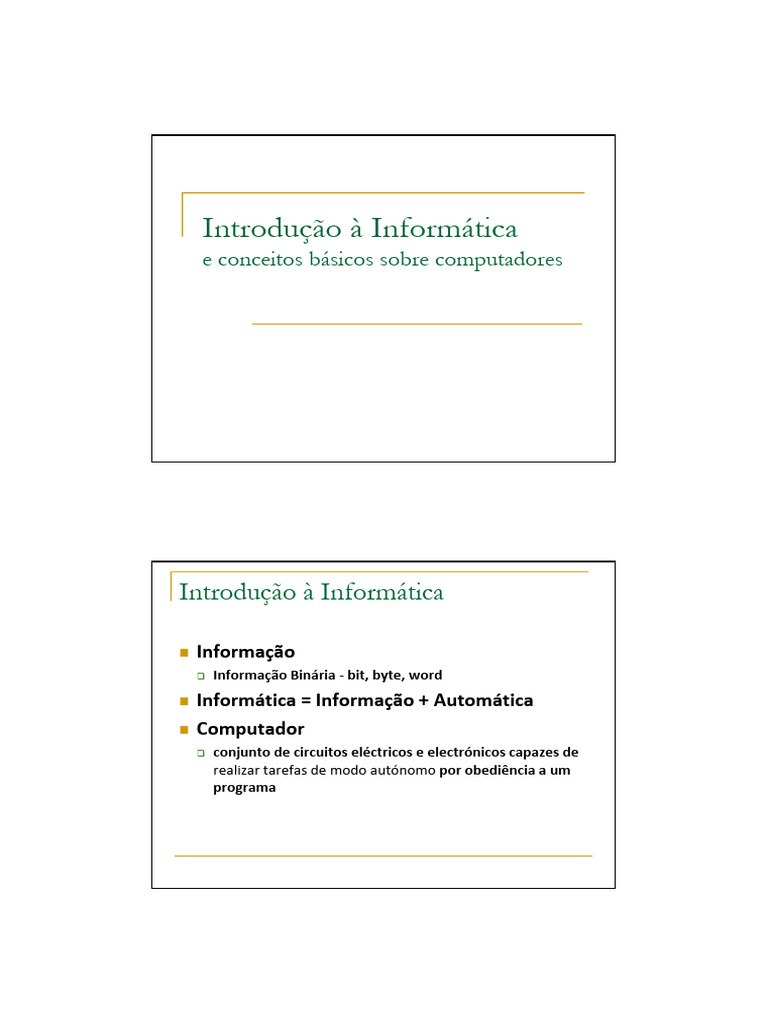 01-Introducao A Informatica | PDF