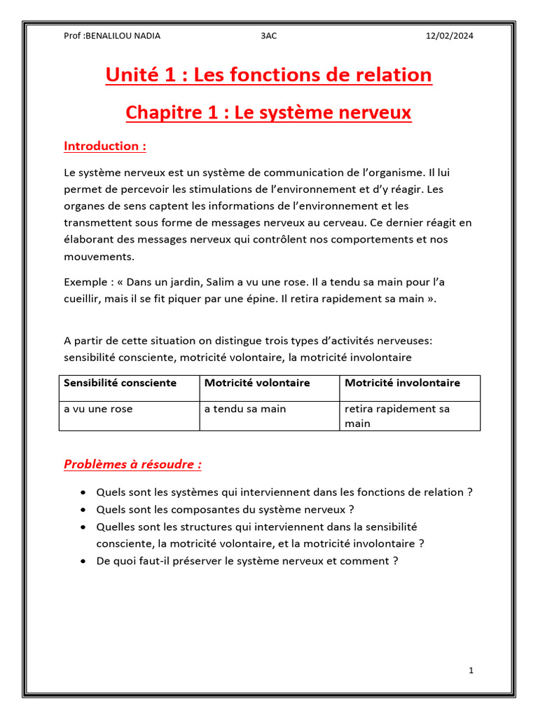 Système Nerveux PDF | PDF