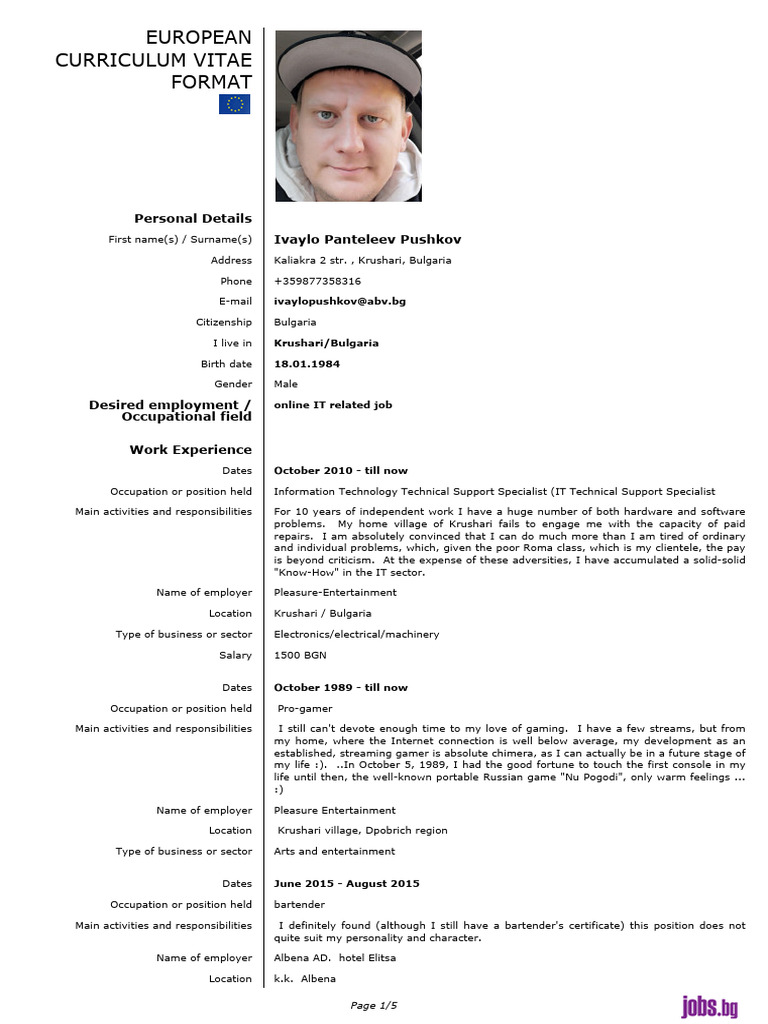 My CV ENG | PDF