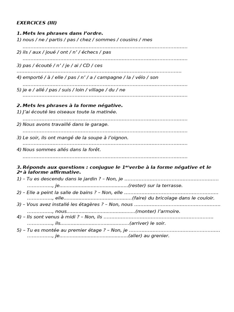 Silvia Gonz Lez Najarro - Exercices Passé Composé III Et IV | PDF