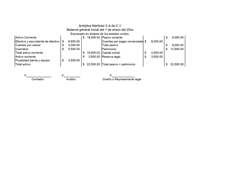 Balance Genaral 101629-2 | PDF