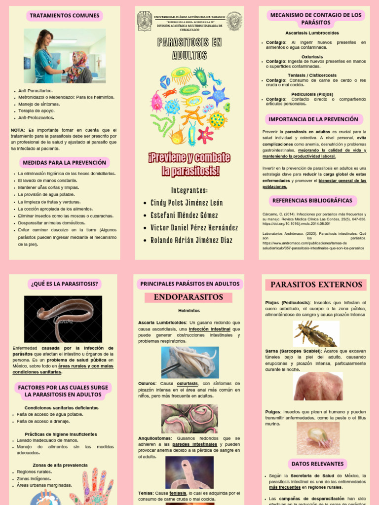 3°B-Folleto_Parasitosis | PDF