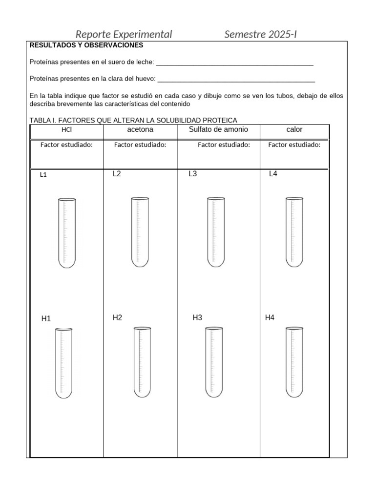 Practica 6 Proteinas | PDF