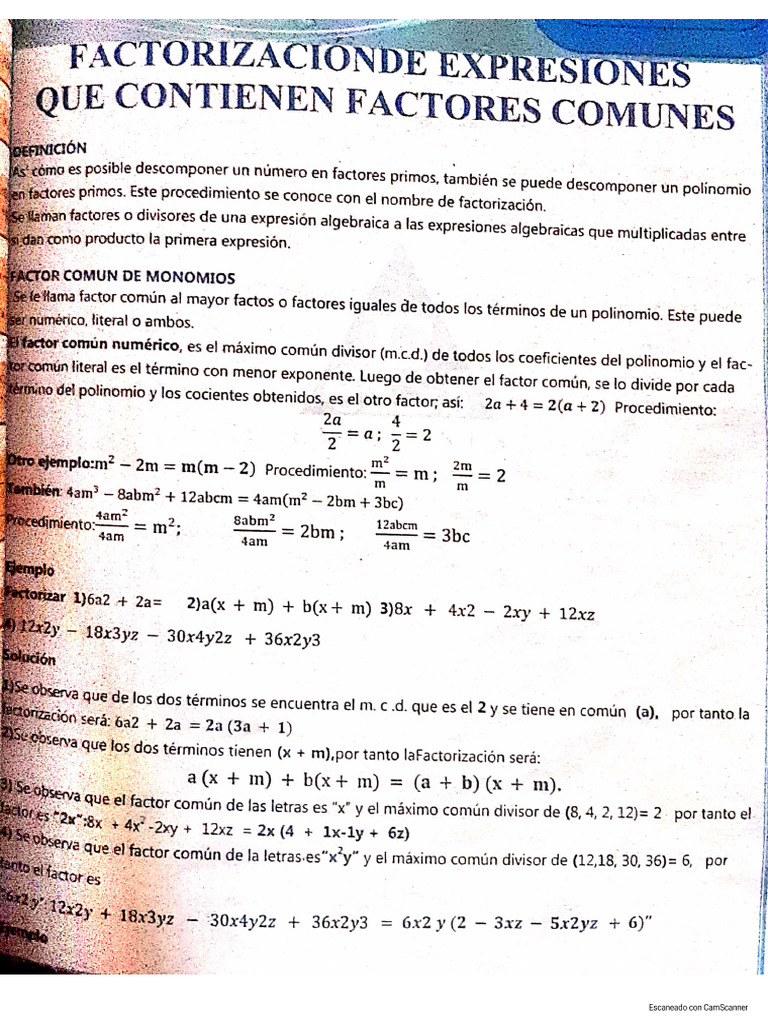Factores Comunes | PDF