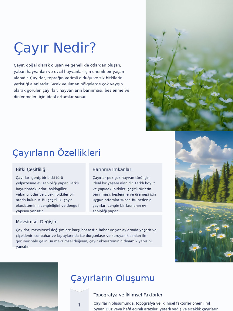 Cayir Nedir | PDF