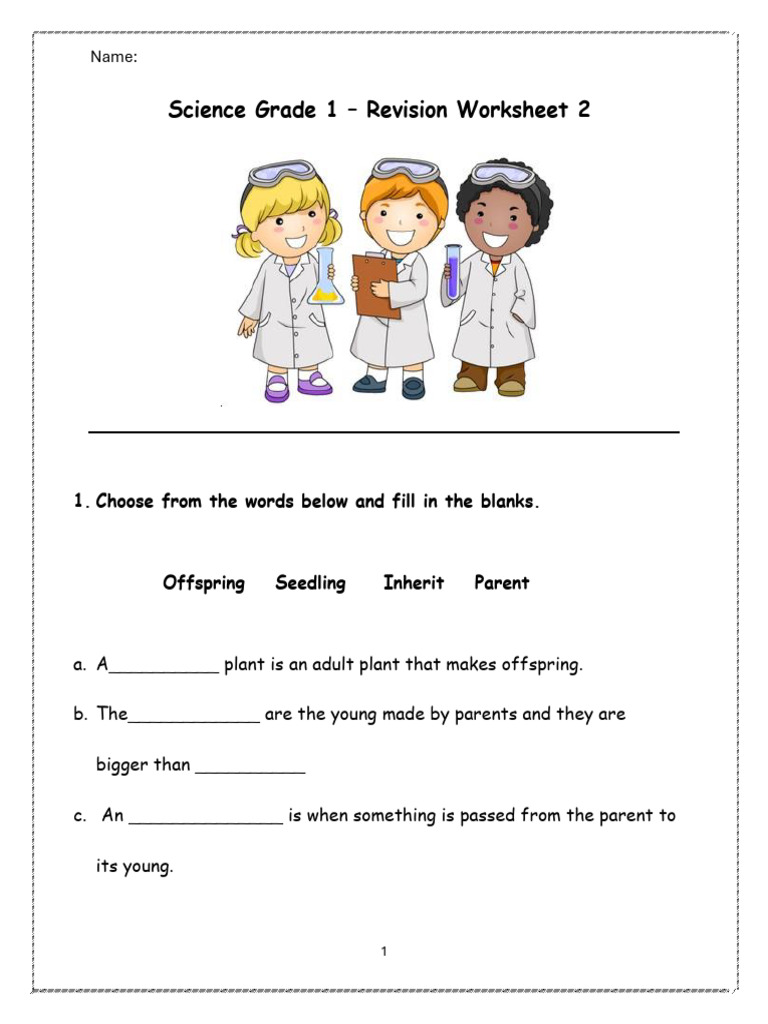 Science Grade 1 - Revision Worksheet 2 | PDF