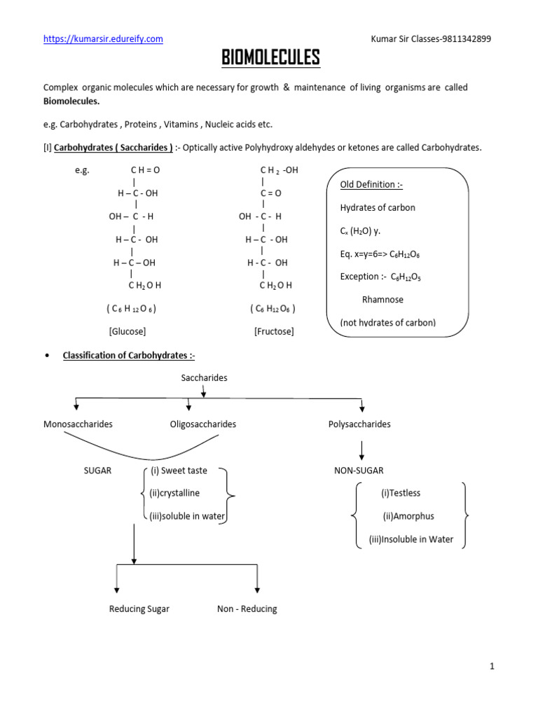 Biomolecules Study Guide | PDF | Carbohydrates | Nucleic Acids