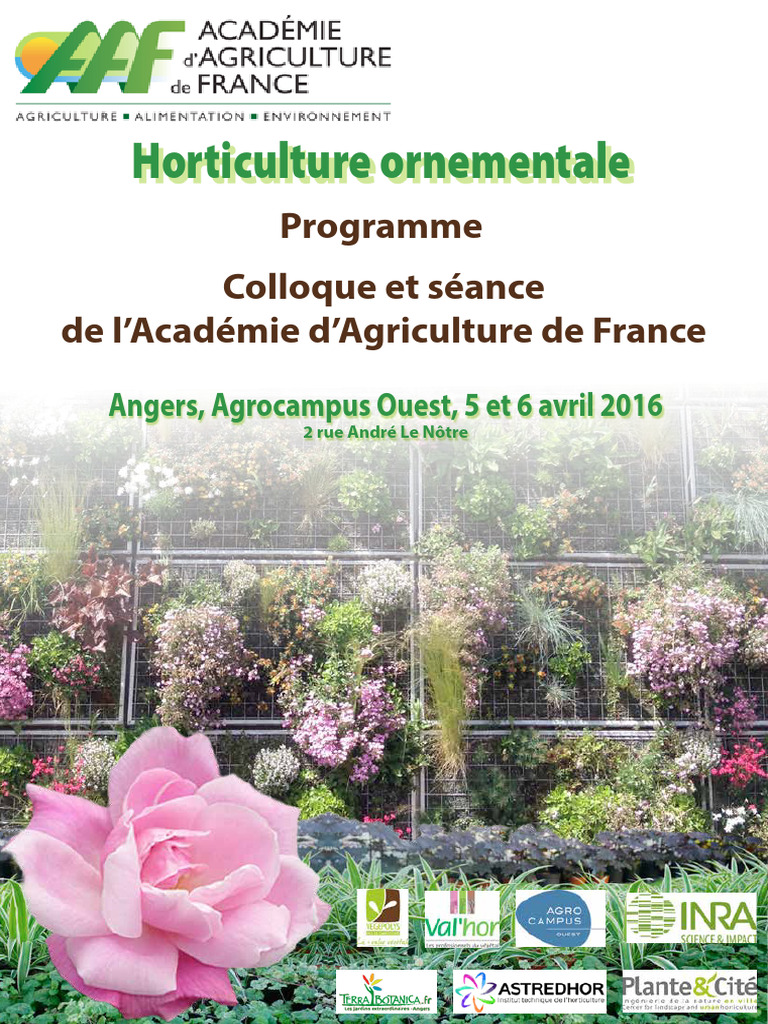 Horticulture Ornementale (PDFDrive) | PDF