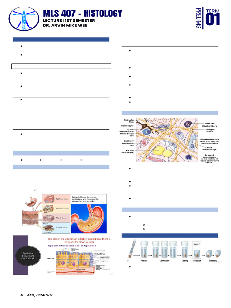 Intro To Histology Trans 1 | PDF
