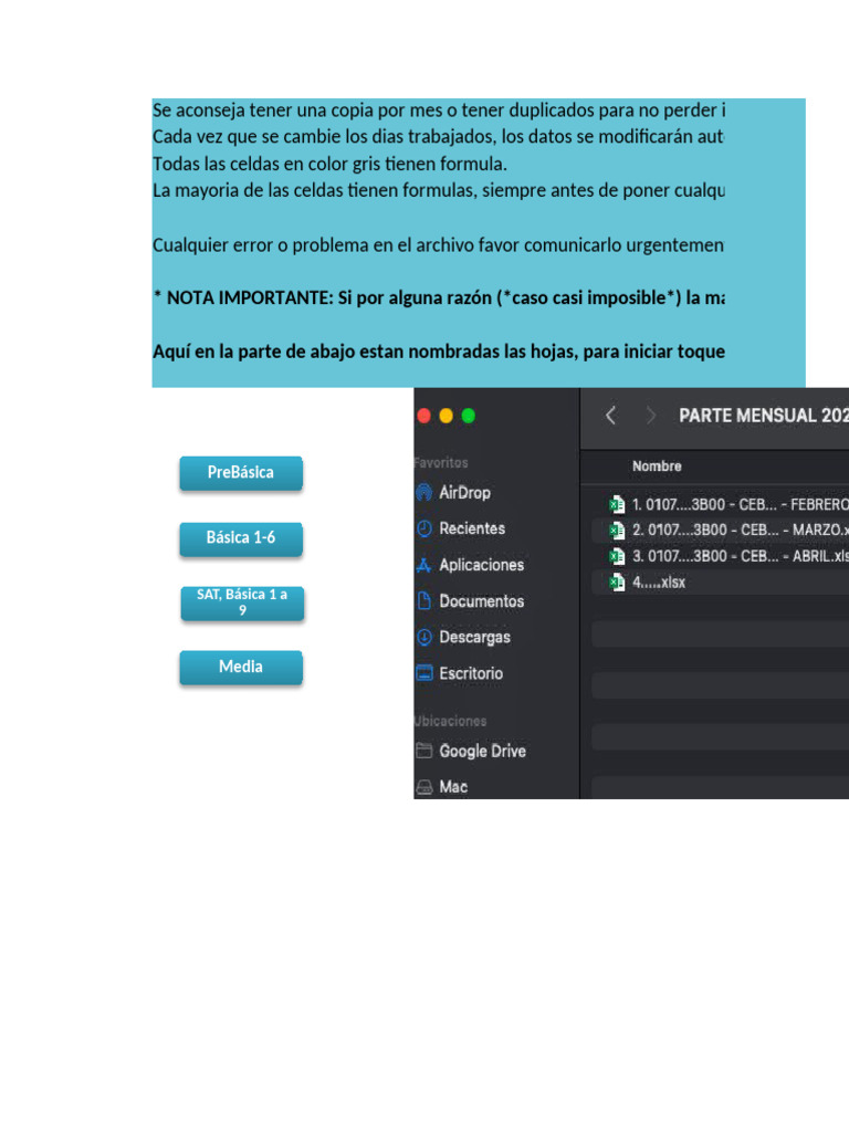Parte Mensual 2024 | PDF