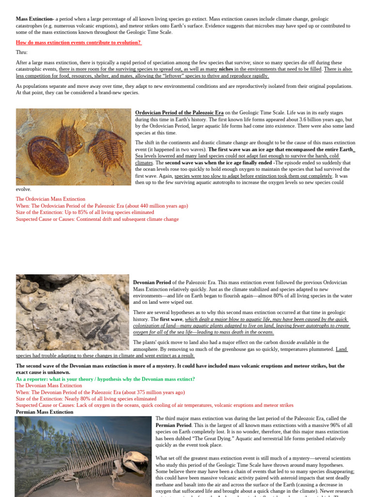 Mass Extinction | PDF