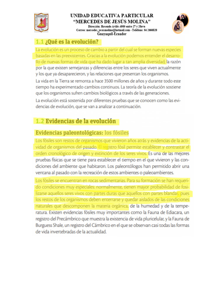 Tarea 1 2p | PDF