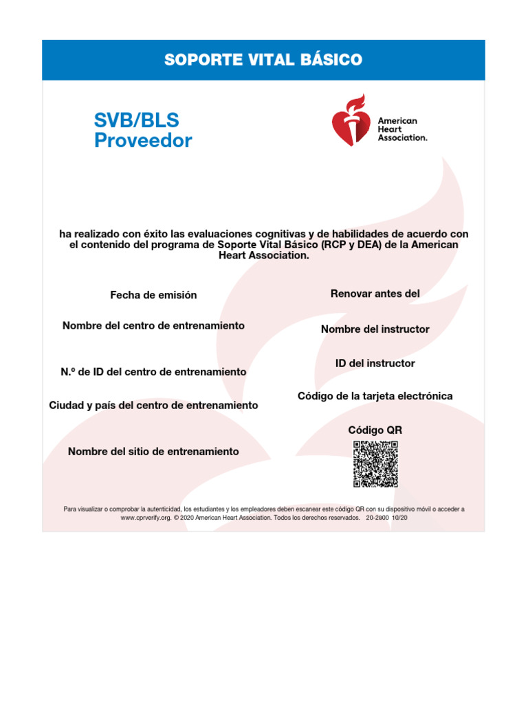 Svb/Bls Proveedor: Soporte Vital Básico | PDF