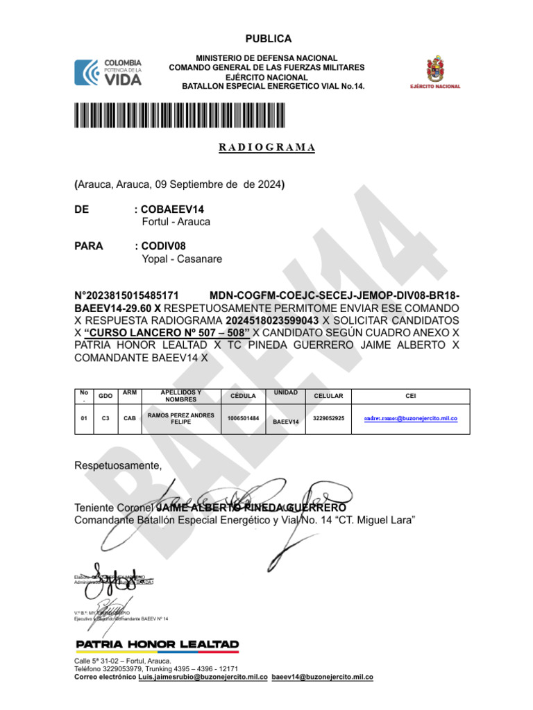 Curso de Lancero C3 Ramos | PDF