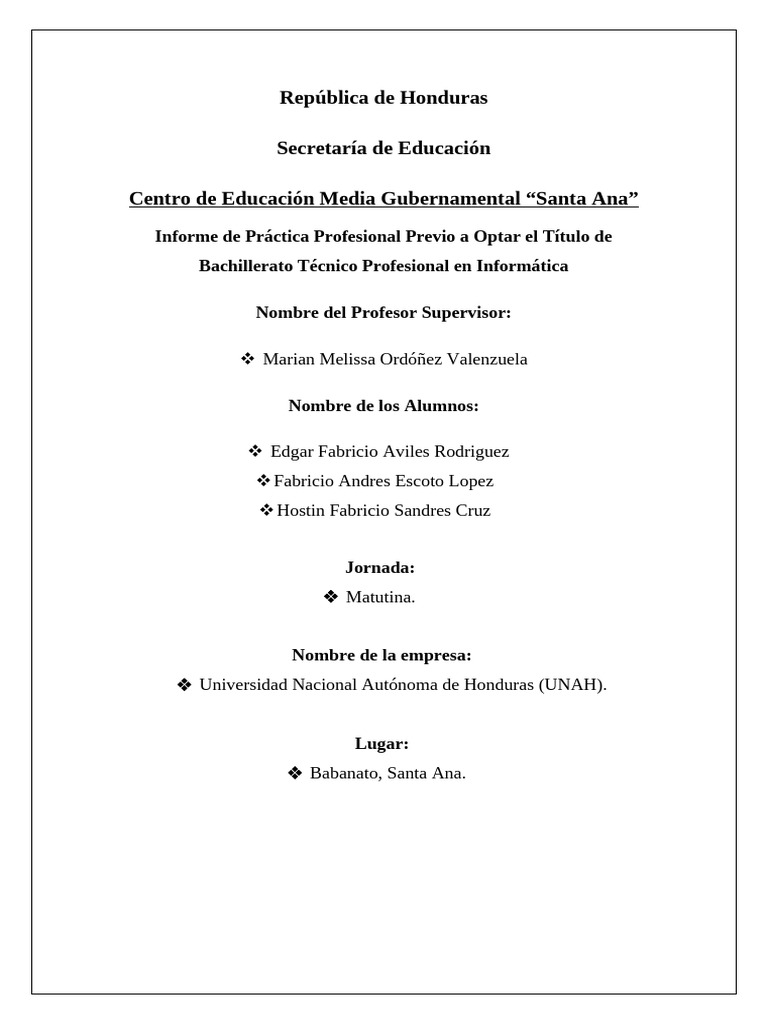 Informe Practica Profesional Pdf